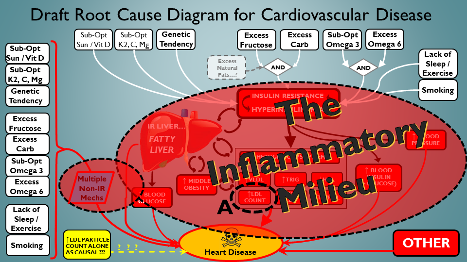 Fat Emperor at FIT-CEO Conference Dublin - Setting the Record Straight ...